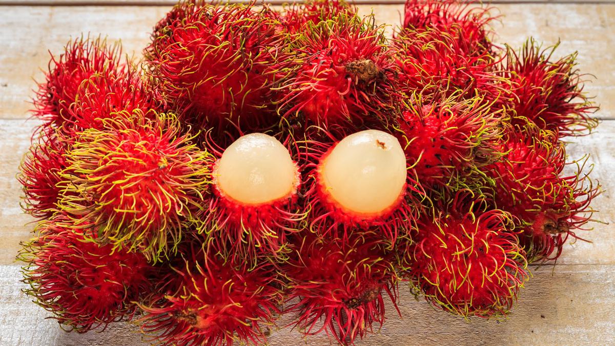 Manis dan Segar, Ini Kandungan Nutrisi Buah Rambutan yang Sehat ...
