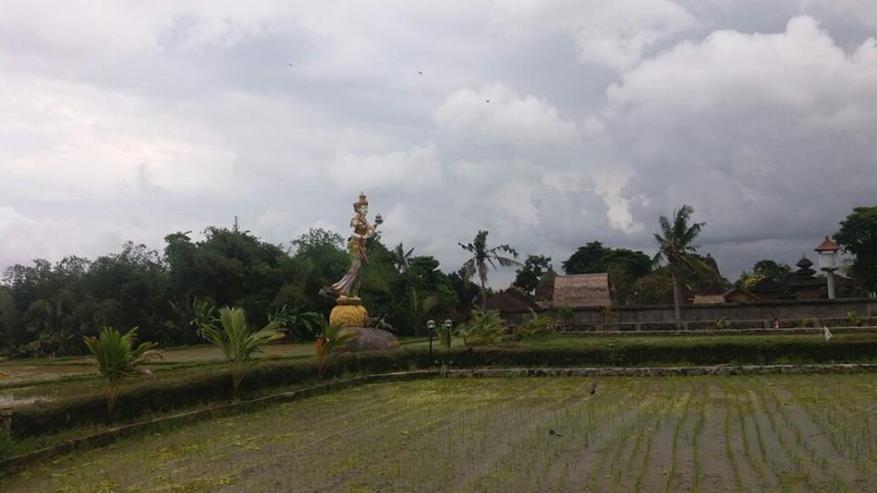 Restoran Bebek Joni, Nikmatnya Makan Bebek di Tepi Sawah Ubud