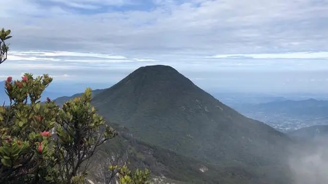 Mitos Gunung Gede Pangrango, Mulai dari Ikan Misterius di Telaga Tiga Warna dan Sosok Aul ...