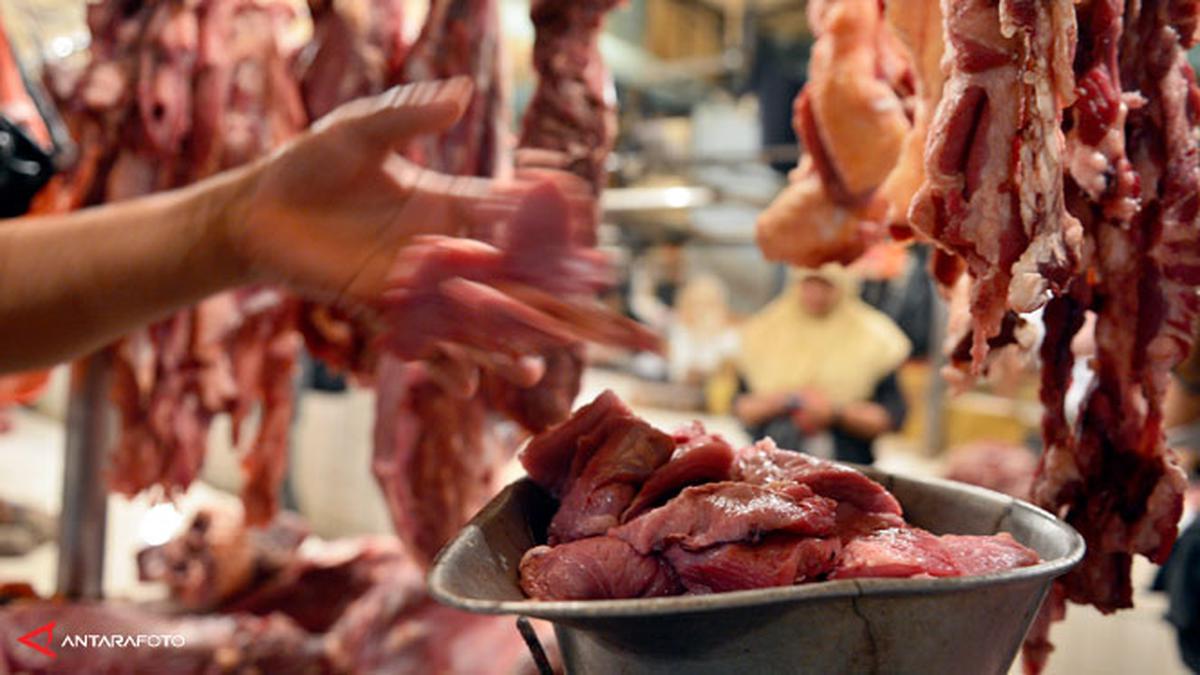 Dibanderol! Harga Daging di Pasar Murah Kemendag Cuma Rp 70 Ribu ...