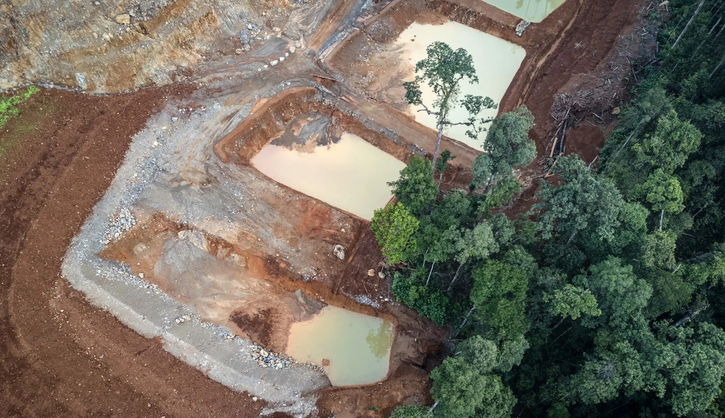 Eksploitasi Nikel Ancam Belantara Kehidupan Suku Pedalaman Halmahera ...