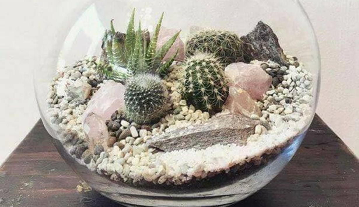 Inspirasi Terarium Cantik Untuk Menghias Meja Kerja - Photo Fimela.com