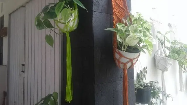 Makrame Adalah Seni Anyaman Simpul Berbahan Tali, Ini Jenis dan Cara ...