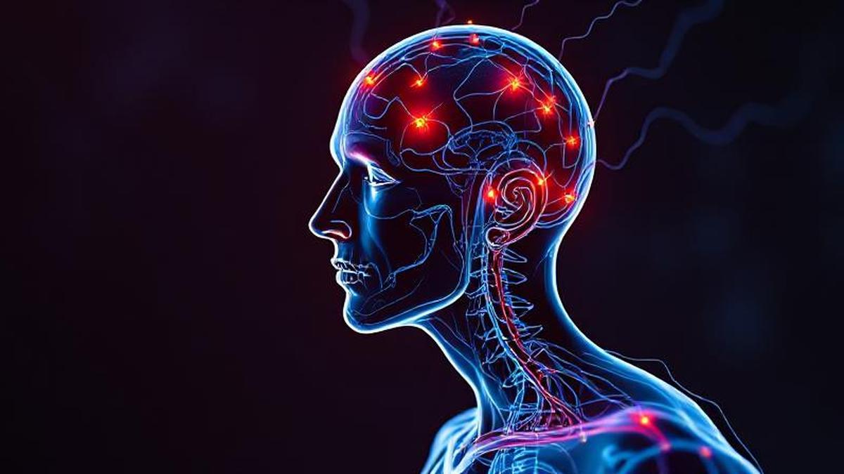 Berita Gangguan Neurologi Hari Ini - Kabar Terbaru Terkini | Liputan6.com