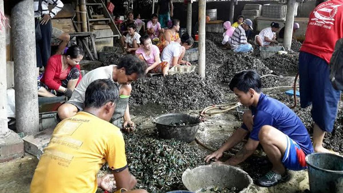 Cilincing, Budaya Maritim, dan Lezatnya Kuliner Pesisir Jakarta ...