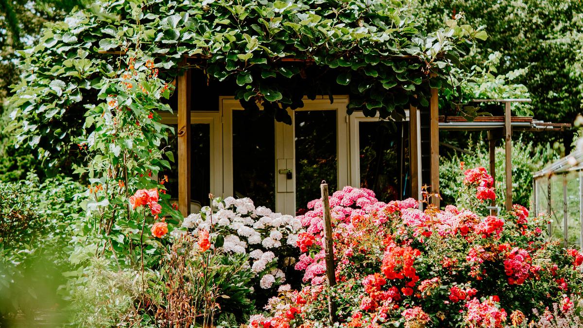 Berita Taman Bunga Hari Ini - Kabar Terbaru Terkini | Liputan6.com