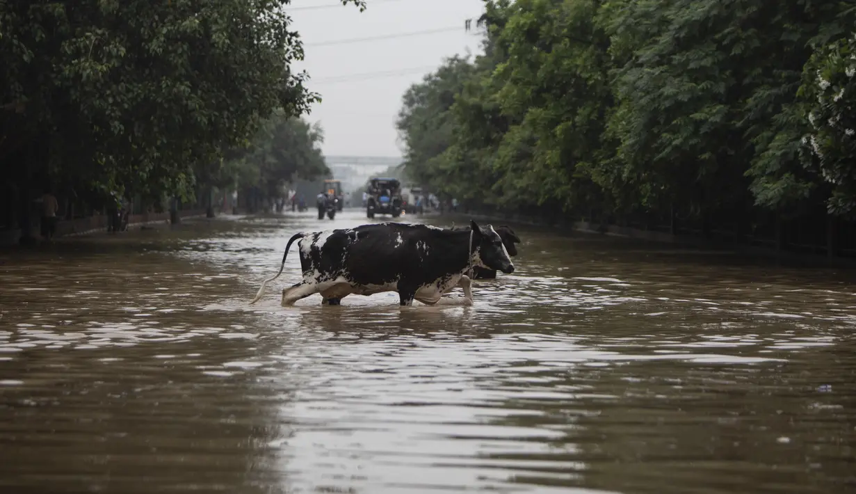FOTO: Akibat Hujan Monsun, New Delhi Terendam Banjir - Foto Liputan6.com