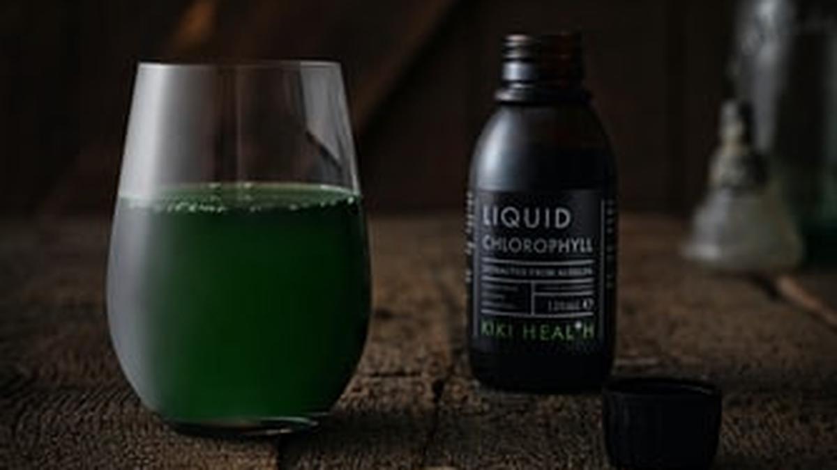 Mengenal Manfaat Air Klorofil yang sedang Populer untuk Kesehatan