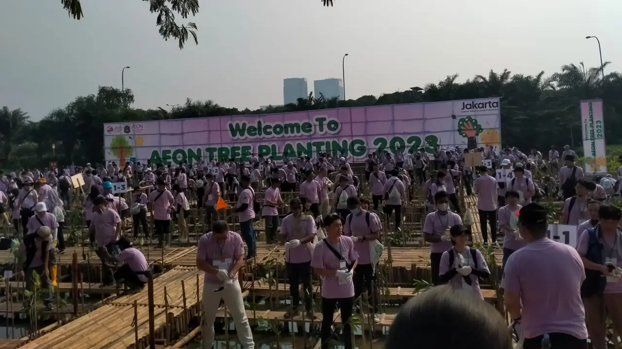 Hijaukan Pesisir Jakarta, Pemprov DKI dan AEON Tanam 3000 Mangrove ...