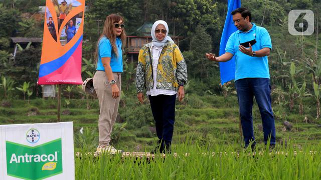 PT Bayer Indonesia, Perusahaan Life Science yang Berdiri Lebih dari 150 ...