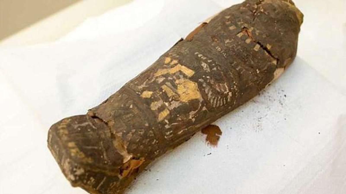 Dikira Mumi Hewan, Faktanya Lebih Memilukan - Citizen6 Liputan6.com