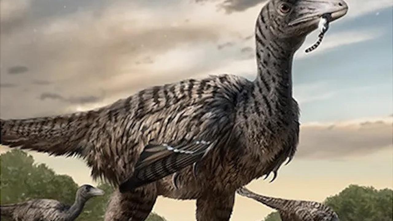 Paleontolog Temukan Jejak Dinosaurus Besar di China, Bisa Jadi Raptor ...