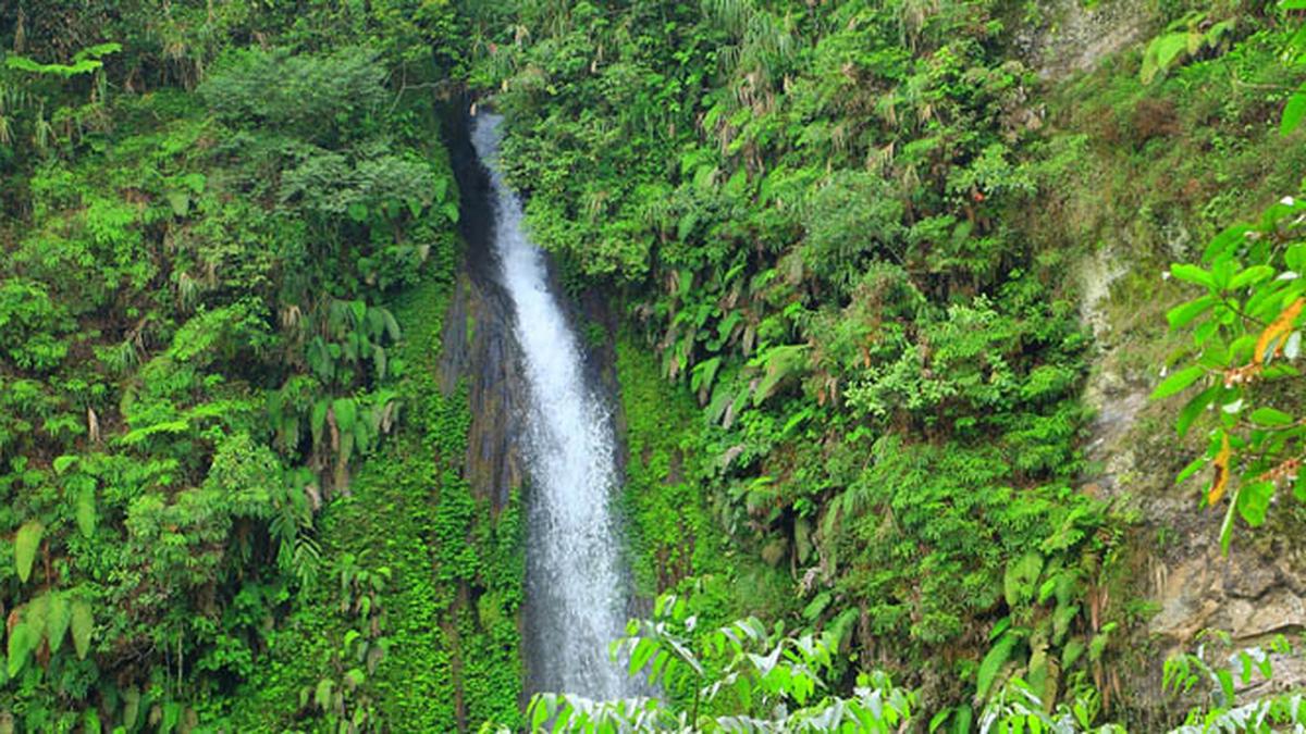12 Wisata Banjarnegara Terbaik dan Harga Tiket Masuknya