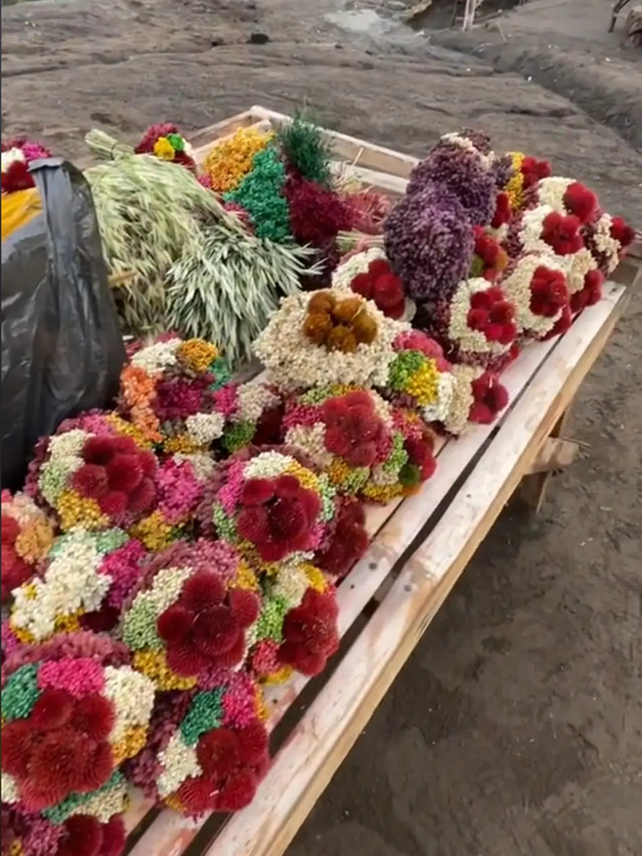 Beda dari Gunung Lain, Mengapa Bunga Edelweis di Bromo Dijual ke ...