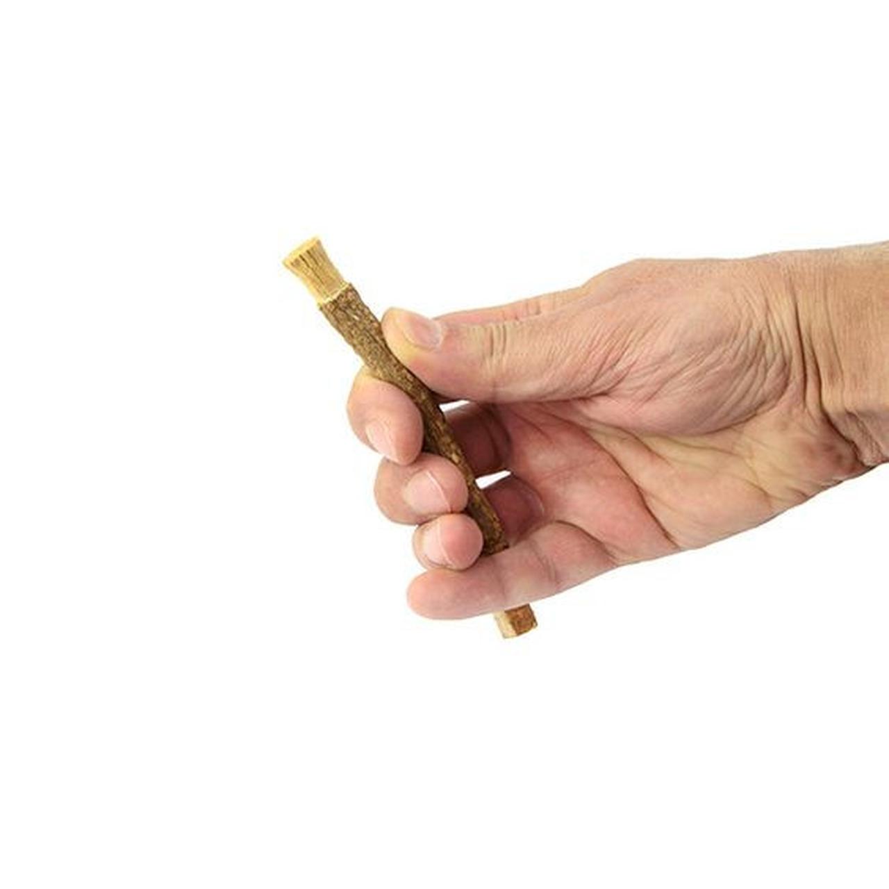 Cara Menggunakan Siwak Sesuai Sunnah Rasulullah, Lengkap Manfaatnya