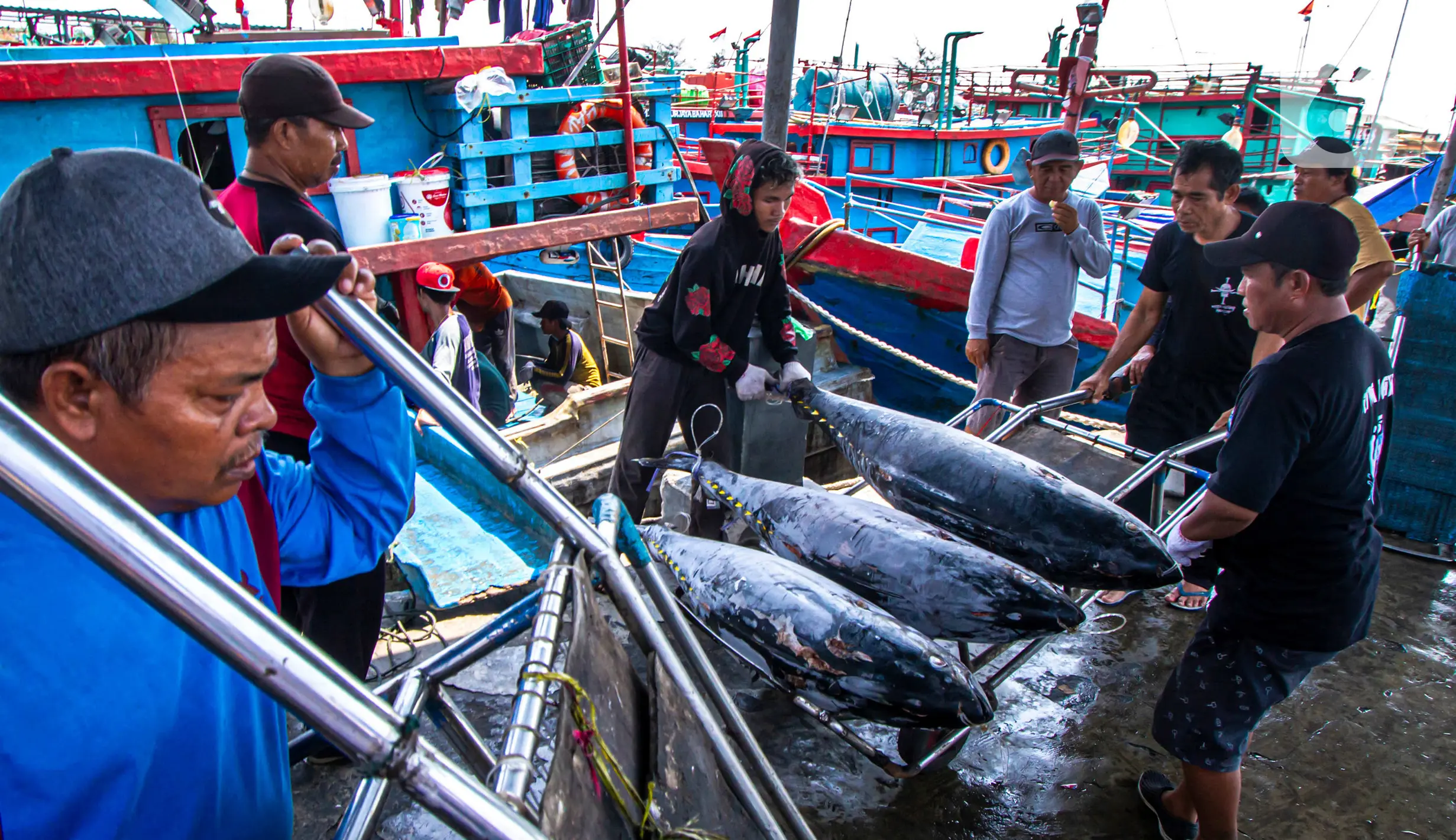Mulai Tahun 2024, KKP Terapkan Penangkapan Ikan Terukur Berbasis Kuota - Foto Liputan6.com
