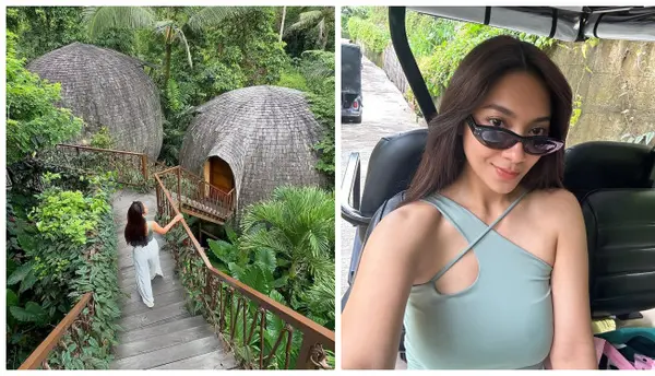 OPM Adalah Organisasi Papua Merdeka, Pelajari Sejarah Terbentuknya ...