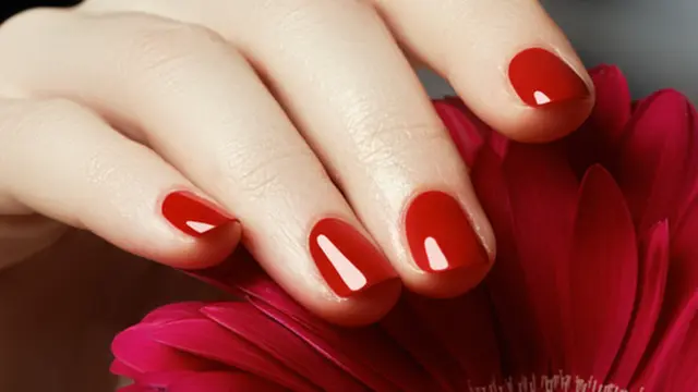 Tak Sekedar Percantik Kuku, Studi Ungkap Manfaat Manicure di Salon ...