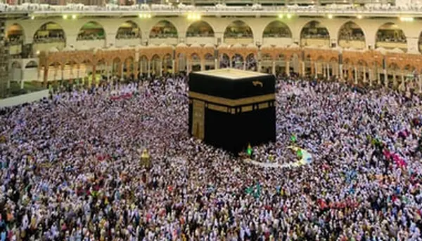 Fungsi Obat Grantusif: Manfaat, Dosis, dan Efek Samping - Feeds ...