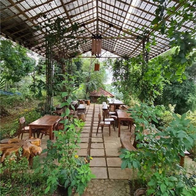 6 Rekomendasi Destinasi Wisata Sekitar Sentul, Cocok untuk Liburan ...