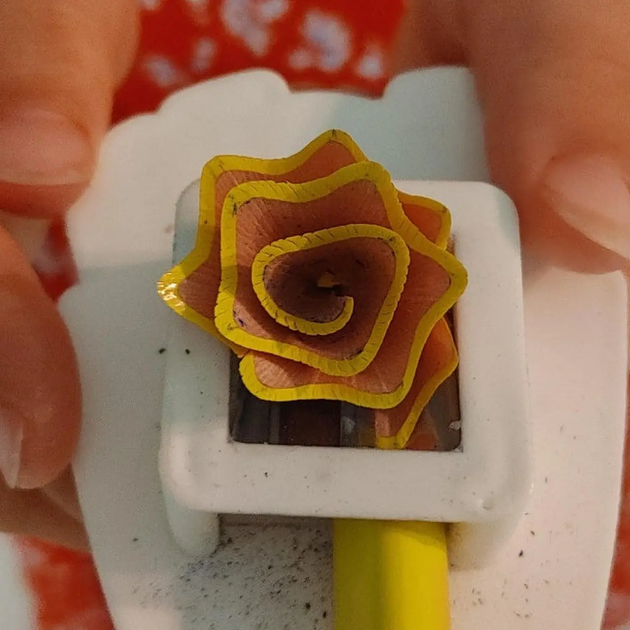 Terbentuk Tanpa Sengaja, 6 Potret Penampakan 'Karya Seni' Ini Bikin ...