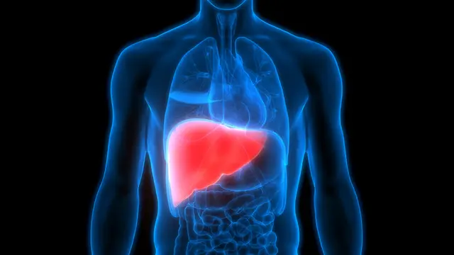 Penyebab Penyakit Hepatitis B dan Faktor Risikonya, Kenali Lebih Dalam