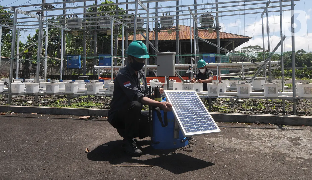 FOTO: PLTS 1 MWp Bangli Kembangkan Sistem Pertanian Tenaga Surya - Foto ...