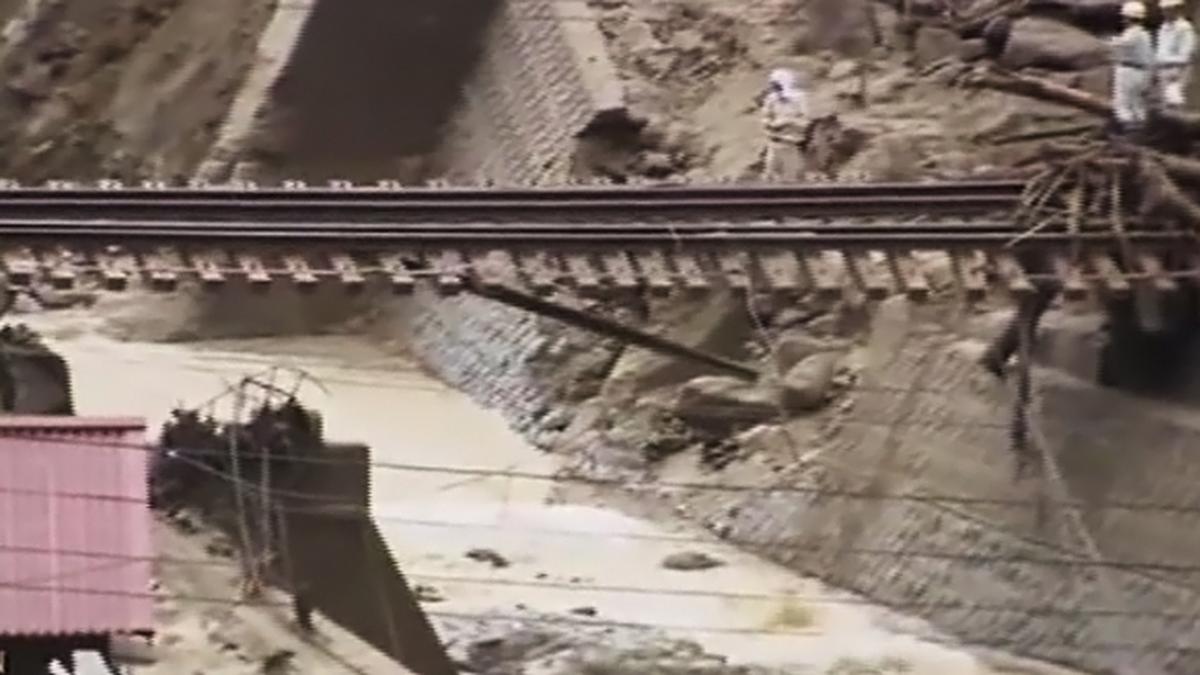 Bus Dibakar Karena Brasil Kalah - Walikota Meksiko Nikahi Buaya ...