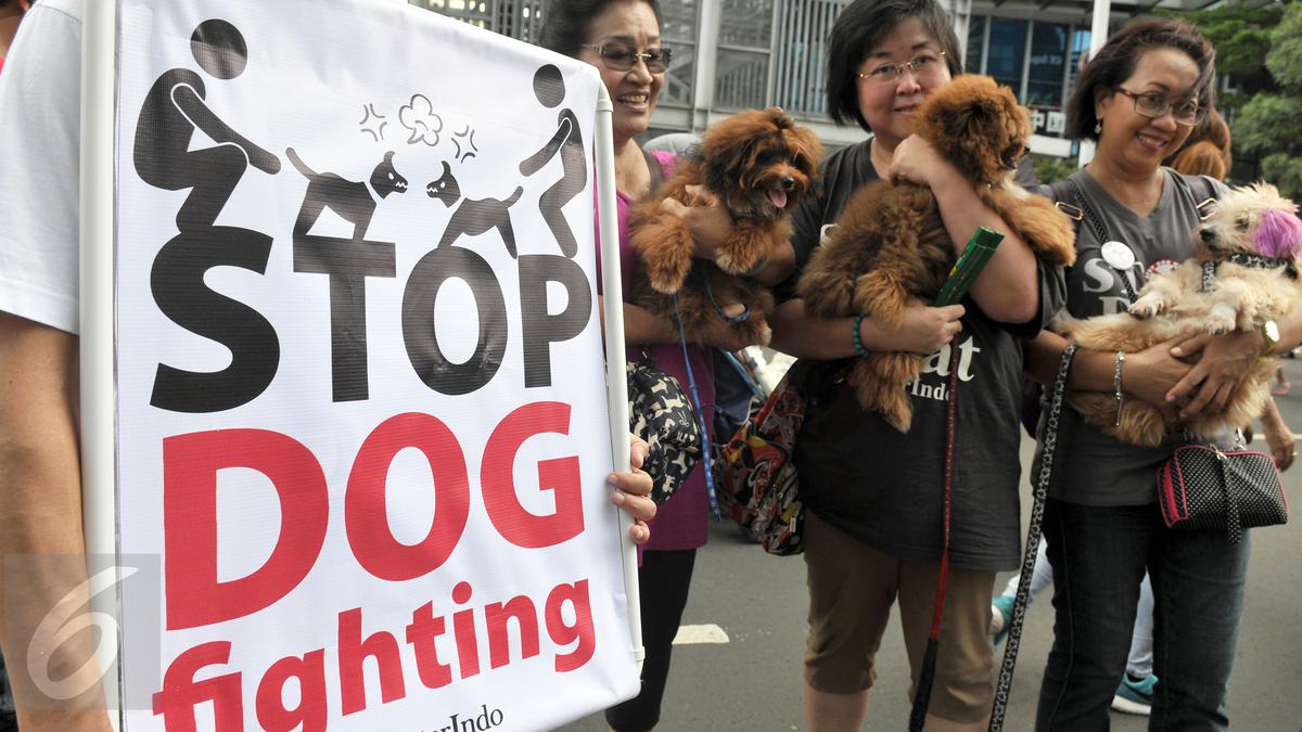 Perumda Pasar Jaya Beri Sanksi Penjual Daging Anjing di Pasar Senen ...