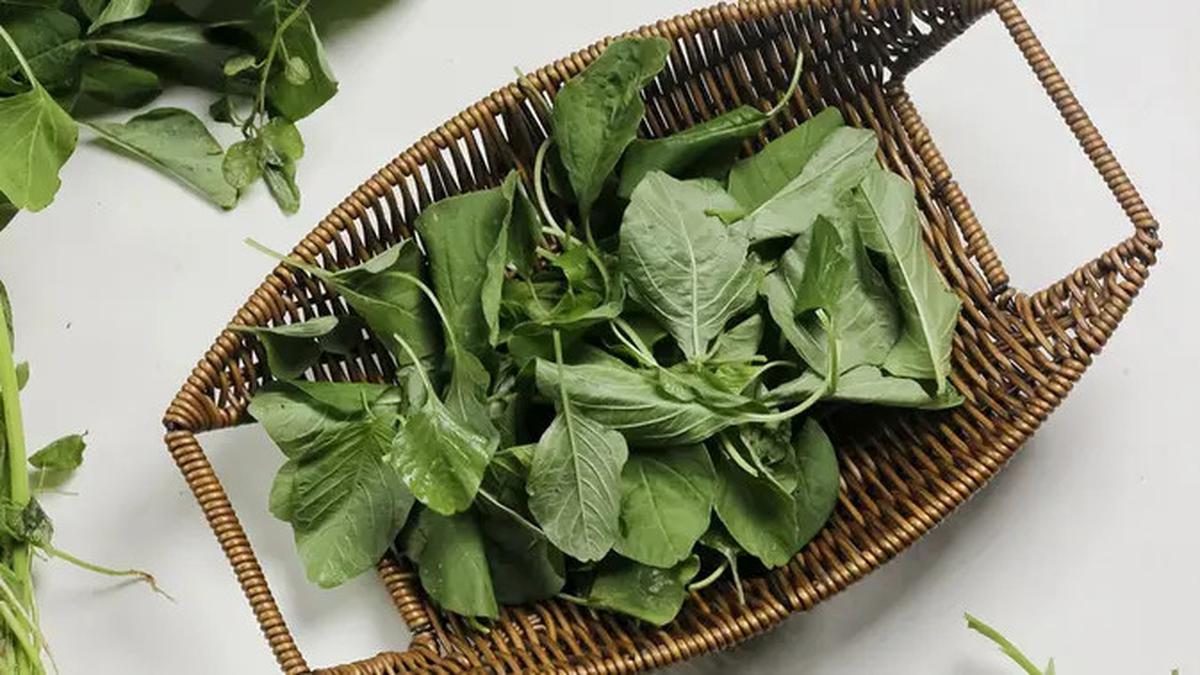 Tips Simpan Bayam Tahan Lama Meski Tanpa Kulkas, Perlu Dicoba - Food ...