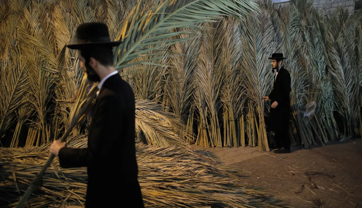 PHOTO: Persiapan Warga Yahudi Sambut Perayaan Hari Sukkot - Foto ...