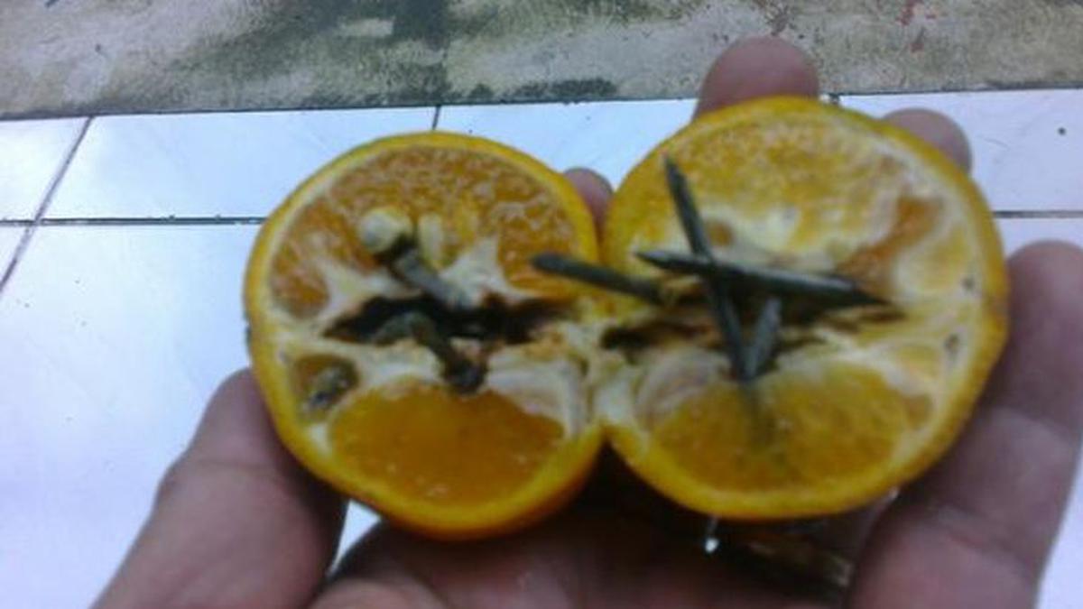 Top 3 Otomotif: Buah Jeruk Berisi Paku Bikin Resah Pengguna Jalan