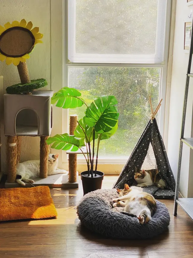 Konsep Coworking Space Anti-Stres di Tangsel, Bisa Kerja Sambil Main ...