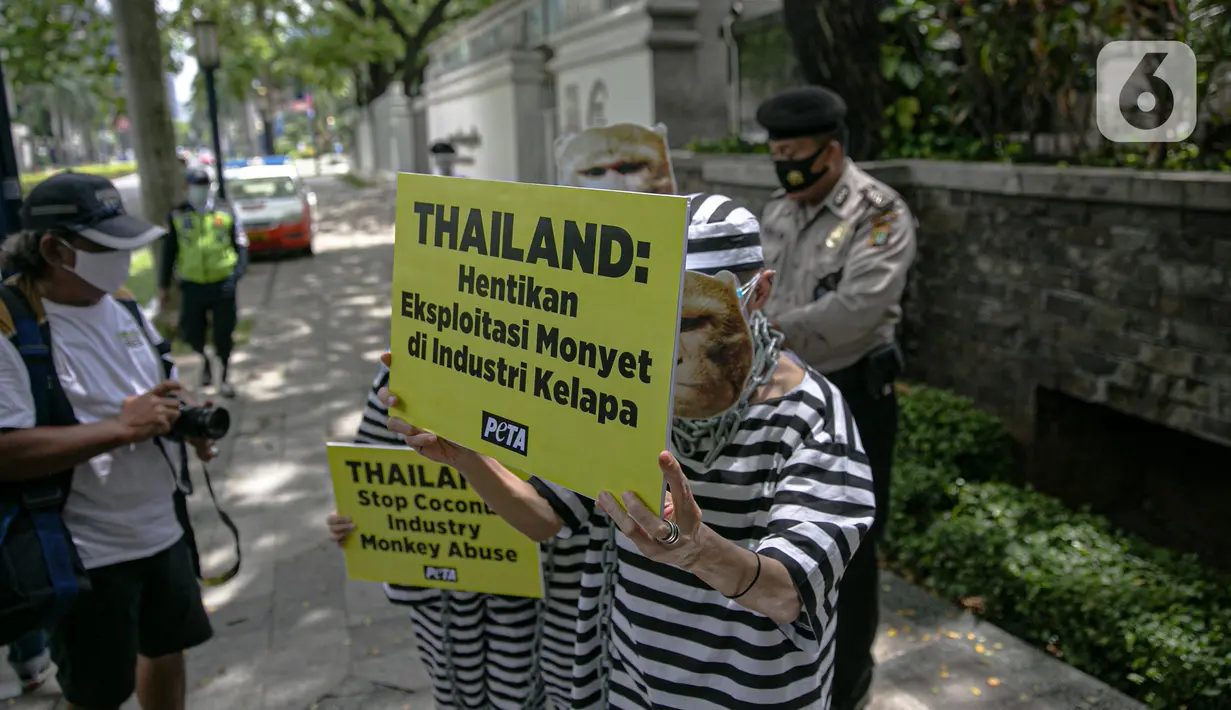 FOTO: Aksi Mengecam Eksploitasi Hewan di Kedubes Thailand - Foto ...