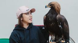 5 Pemotretan Terbaru Tiara Andini dan Alshad Ahmad Bersama Elang Ini Curi Perhatian - Hot ...