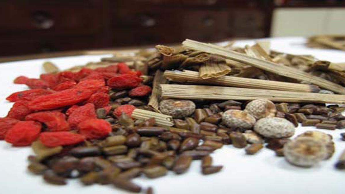 Resep Obat Maag Tradisional Yang Paling Ampuh (12)