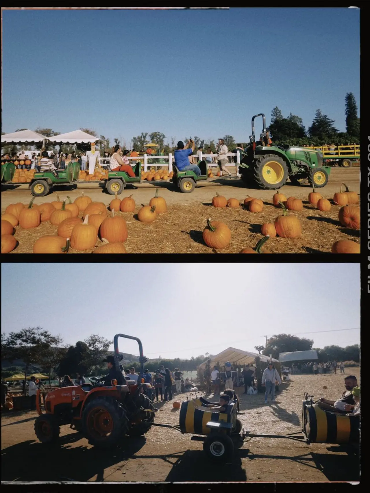 6 Potret Nikita Willy Ajak Baby Issa ke Ladang Labu Amerika, Panen ...