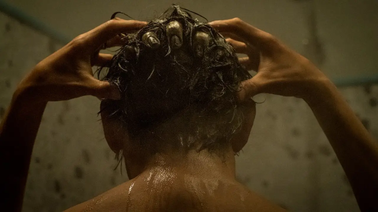 The Grudge: Misteri Tewasnya Satu Keluarga di Rumah 44 Reyburn Drive ...