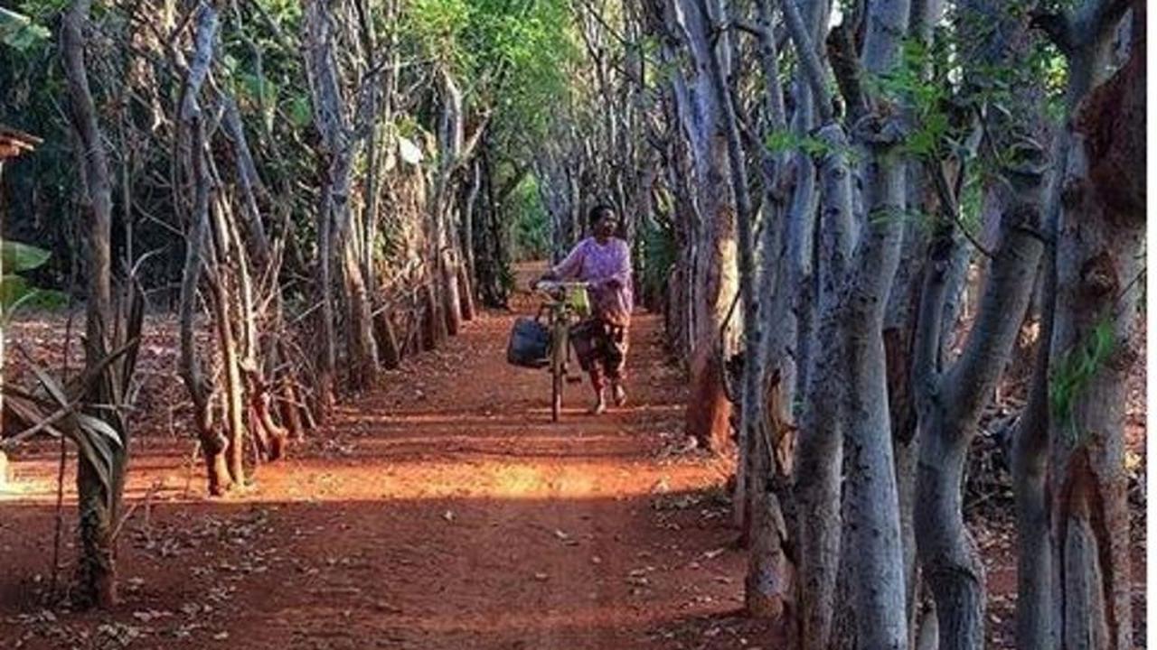 3 Pulau Paling Populer di Sumenep, Tempat Populer Wisatawan Asing