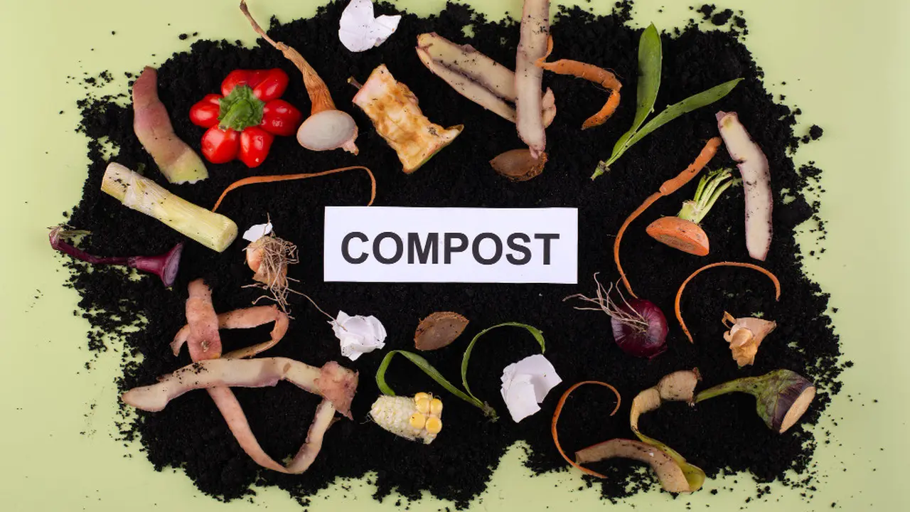 Cara Buat Pupuk Alami dari Sisa Dapur, Panduan Lengkap Tanaman Subur ...