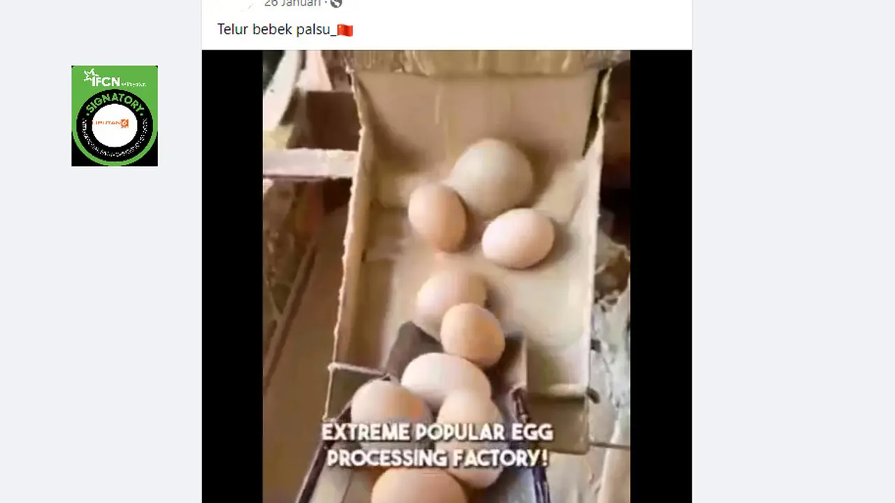 Kumpulan Hoaks Telur Palsu, Simak Faktanya - Cek Fakta Liputan6.com