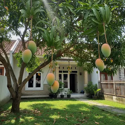 pohon peneduh Terbaru - Berita, Foto, Video | Fimela.com