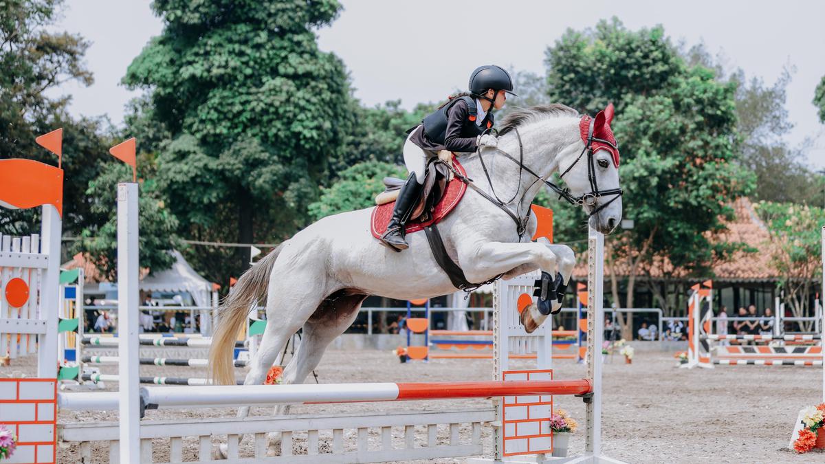 Narantraya Jeihan Widjaya Kembali berprestasi di Shark Equestrian ...