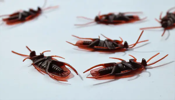 PT Pinus Merah Abadi, Distributor dan Sales Produk Nabati Group - Hot ...