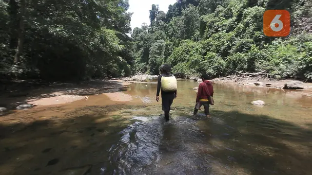 Melihat Potensi Perhutanan Sosial dan Wisata di Kecamatan Terjauh di ...