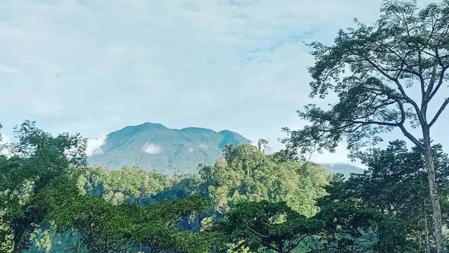 Mengenal Gunung Lubuk Raya Tapanuli Selatan, Pesona Keindahan Alam ...