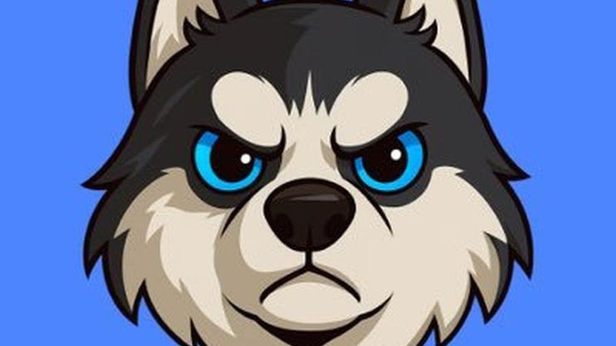 TOGO the Dog: Token Meme di Jaringan Blockchain Base - Crypto Liputan6.com