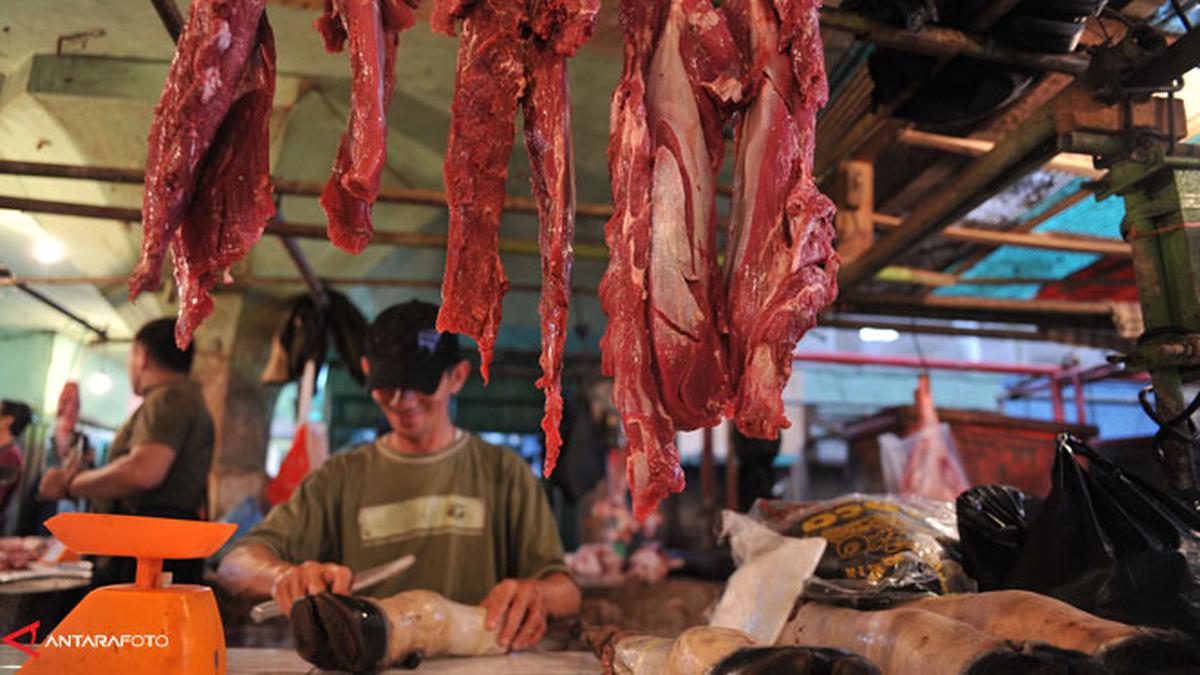 Pedagang Malas Jualan Daging Bulog, Kenapa? - Bisnis Liputan6.com