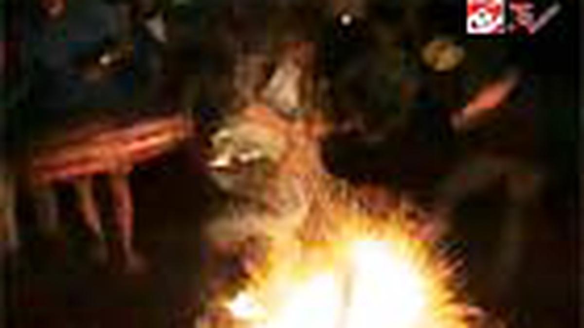 Sere Api, Tarian Syukur pada Tuhan - Video Liputan6.com