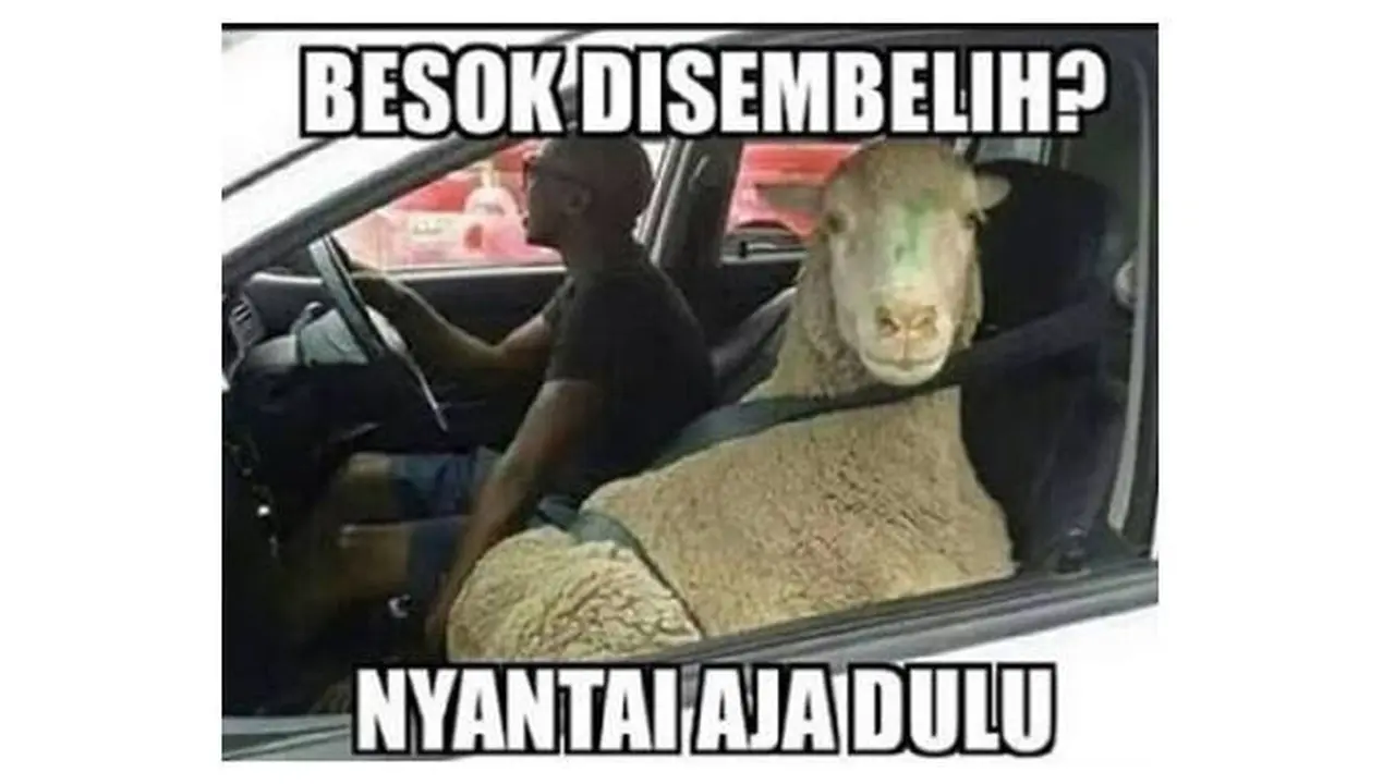 7 Meme Absurd Kambing Jelang Hari Raya Idul Adha Ini Kocak - Hot ...